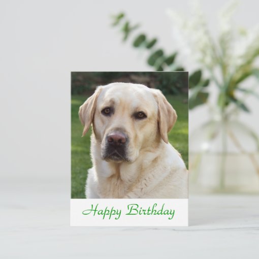 Happy Birthday Labrador Retriever Dog Post Card | Zazzle