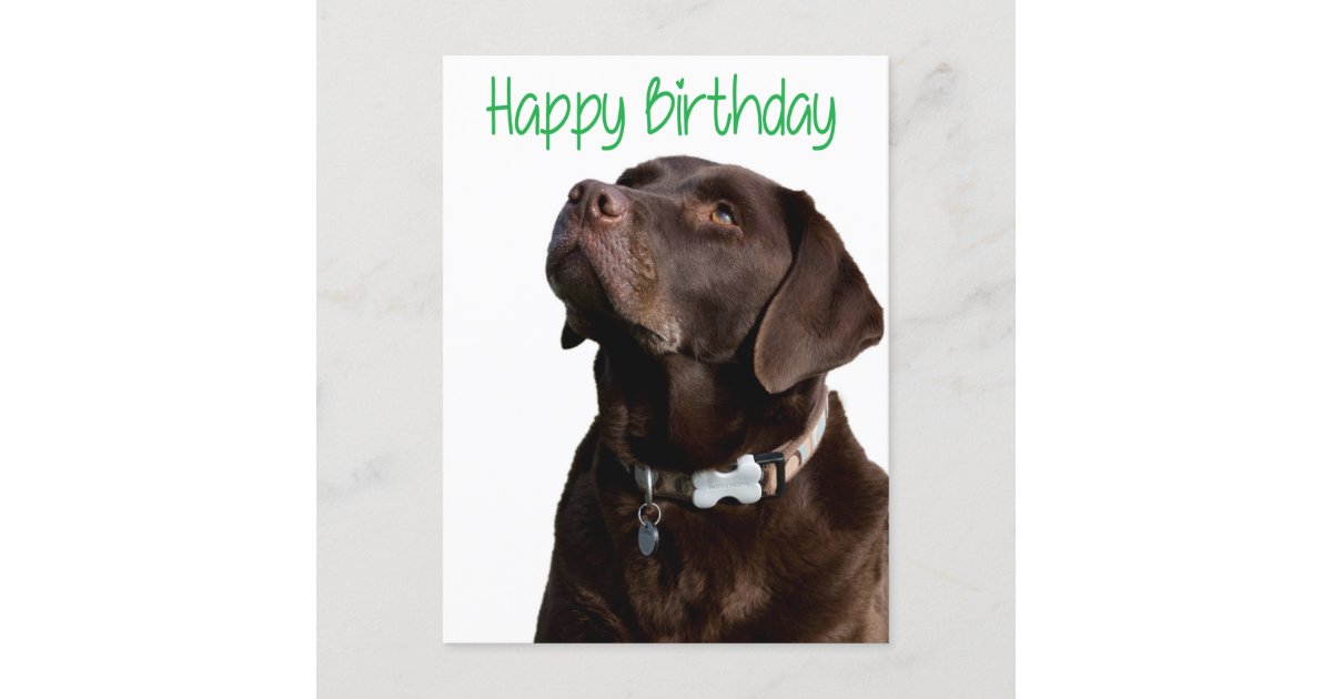 Happy Birthday Labrador Retriever Dog Post Card | Zazzle