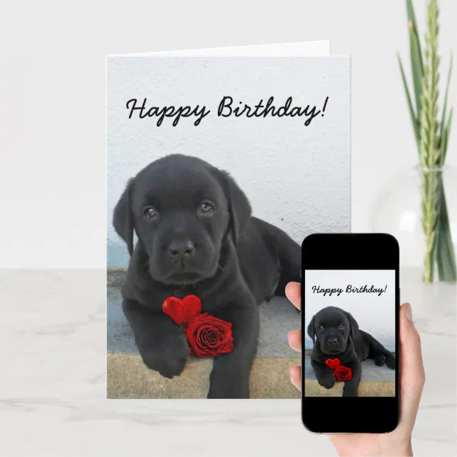 Happy Birthday Labrador Retriever greeting card | Zazzle