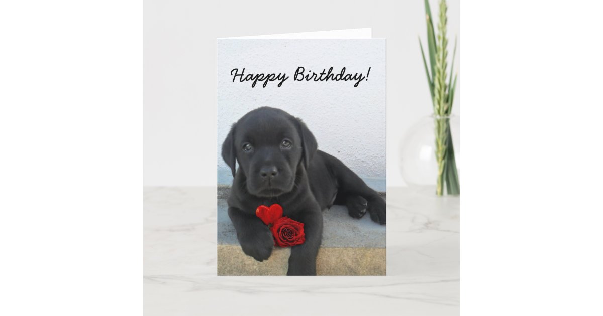 Happy Birthday Labrador Retriever greeting card | Zazzle