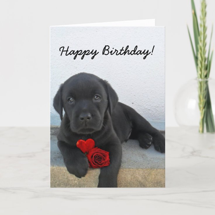 Happy Birthday Labrador Retriever greeting card | Zazzle