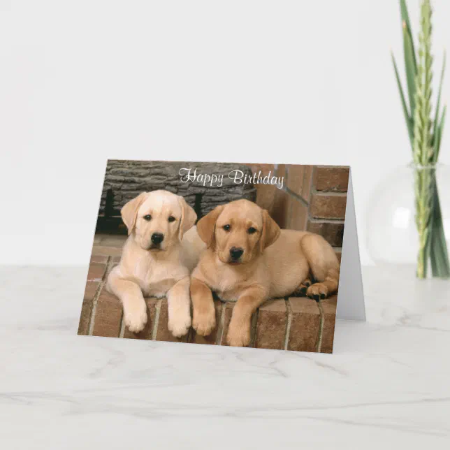Happy Birthday Labrador Retriever Puppies Card | Zazzle