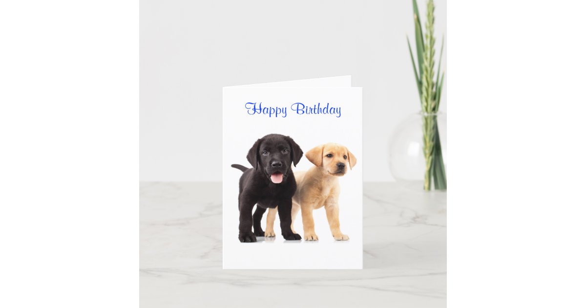Happy Birthday Labrador Retriever Puppies Card | Zazzle