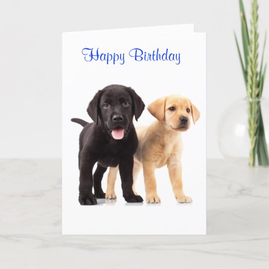 Happy Birthday Labrador Retriever Puppies Card | Zazzle.com