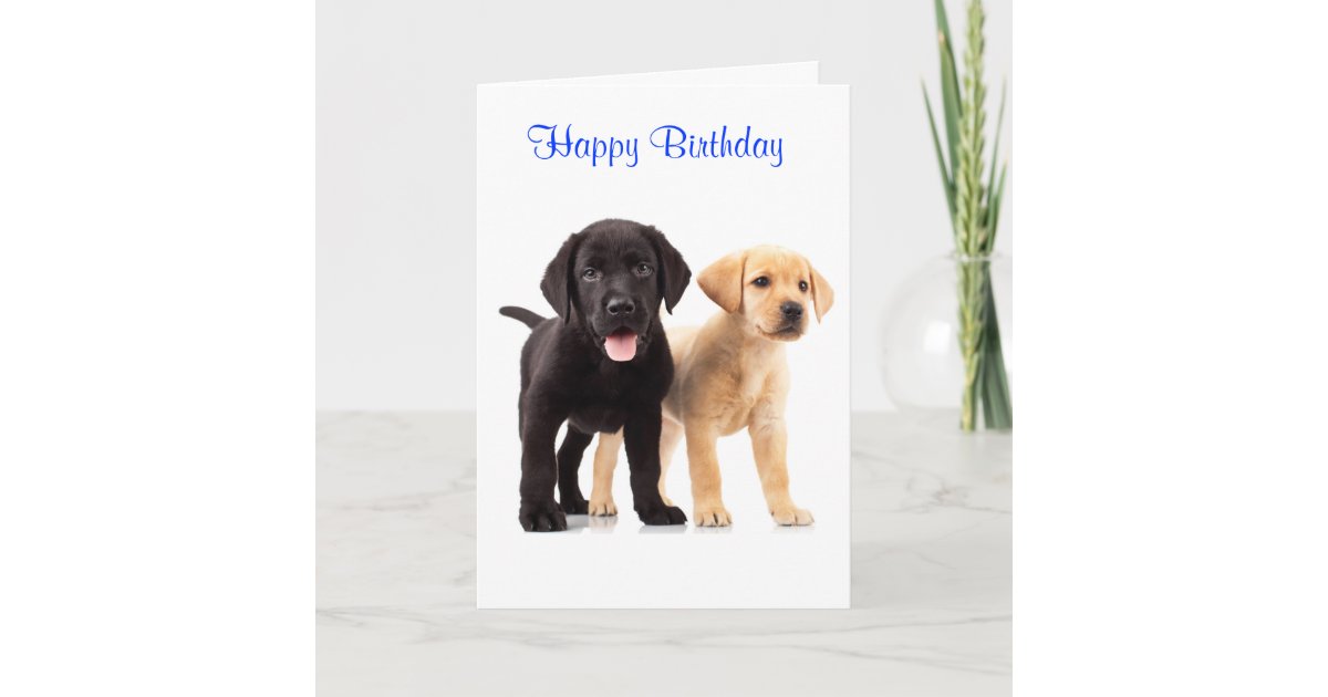 Happy Birthday Labrador Retriever Puppies Card | Zazzle