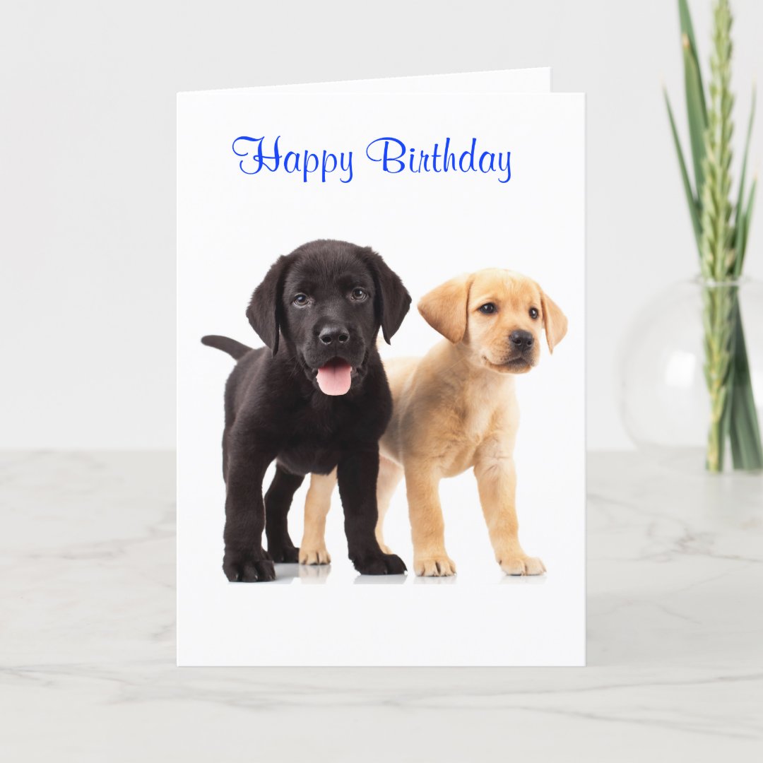 Happy Birthday Labrador Retriever Puppies Card | Zazzle