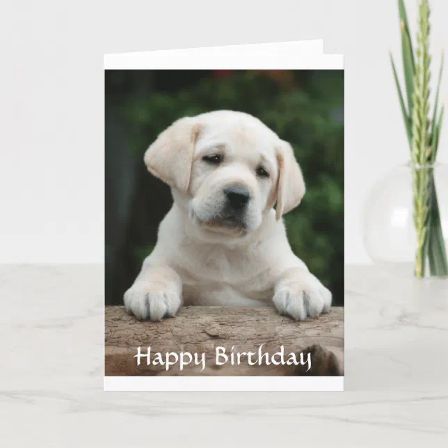 Happy Birthday Labrador Retriever Puppy Card | Zazzle