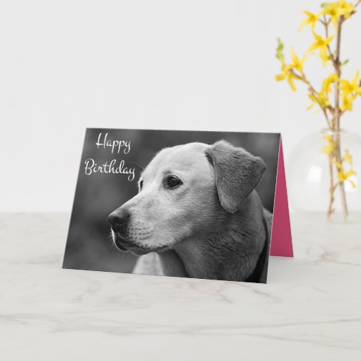 Happy Birthday Labrador Retriever Puppy Card | Zazzle