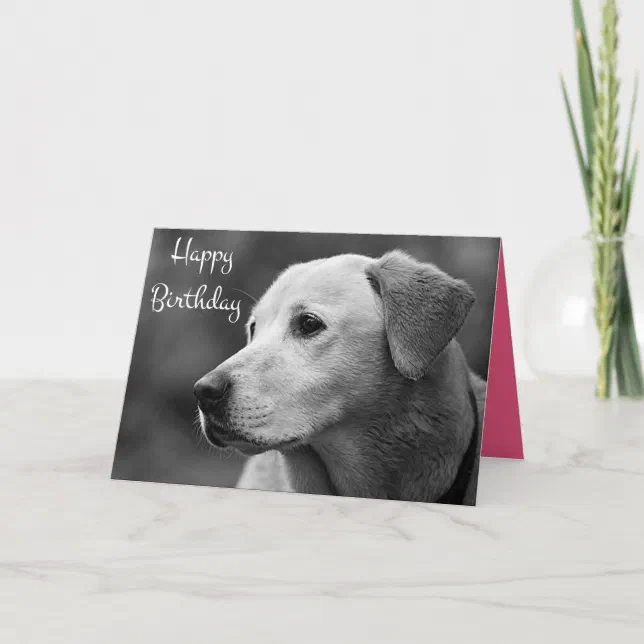 Happy Birthday Labrador Retriever Puppy Card | Zazzle