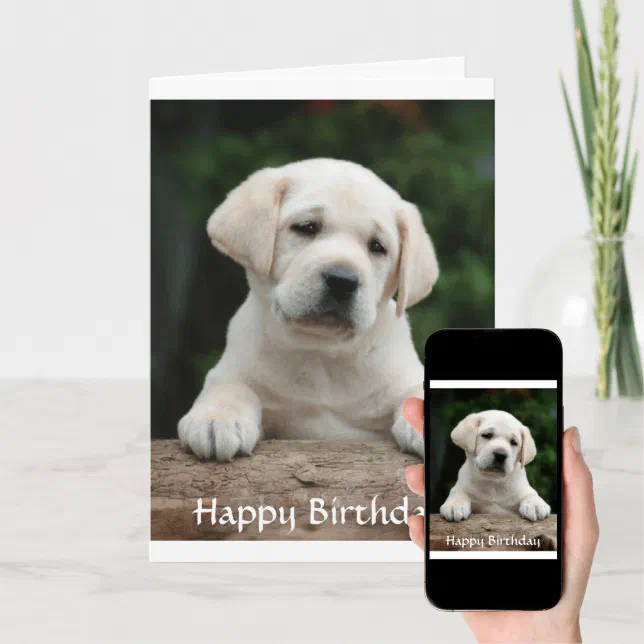 Happy Birthday Labrador Retriever Puppy Card | Zazzle