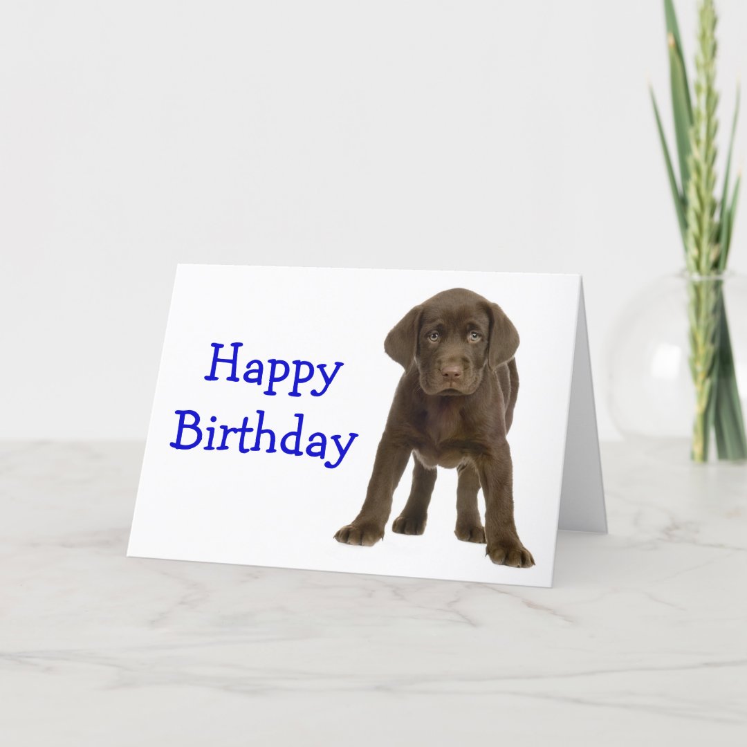 Happy Birthday Labrador Retriever Puppy Dog Card | Zazzle