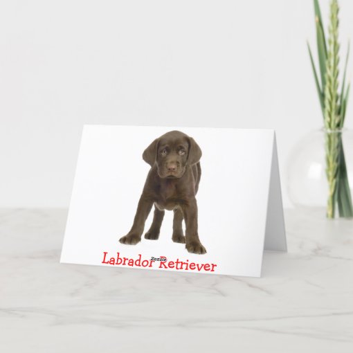 Happy Birthday Labrador Retriever Puppy Dog Card | Zazzle