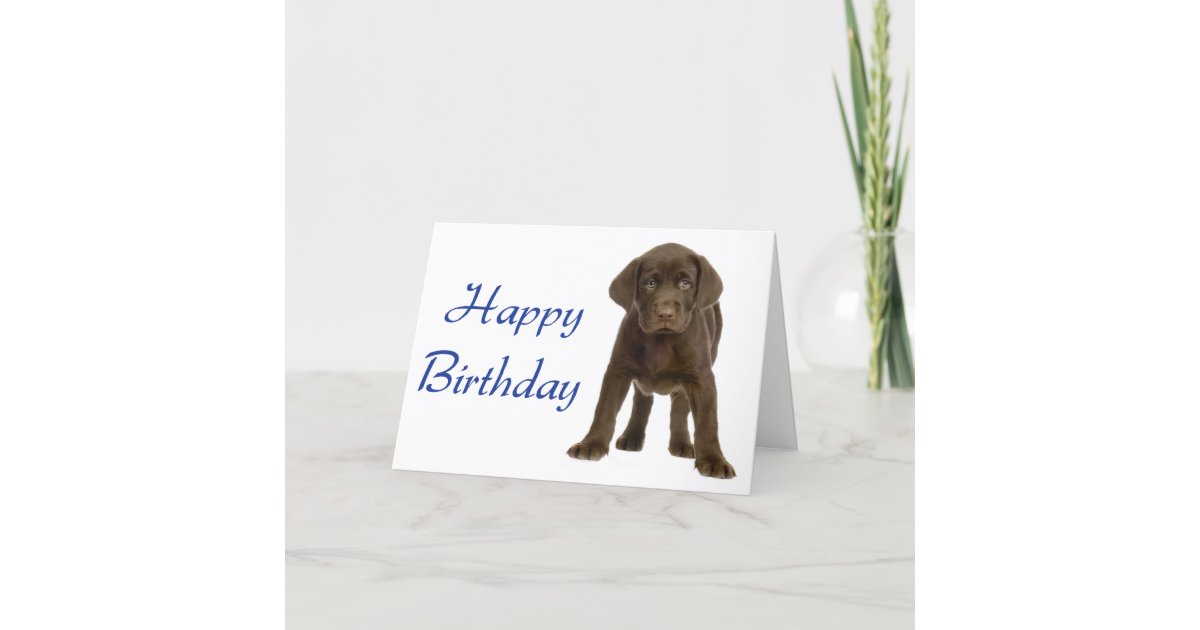 Happy Birthday Labrador Retriever Puppy Dog Card | Zazzle