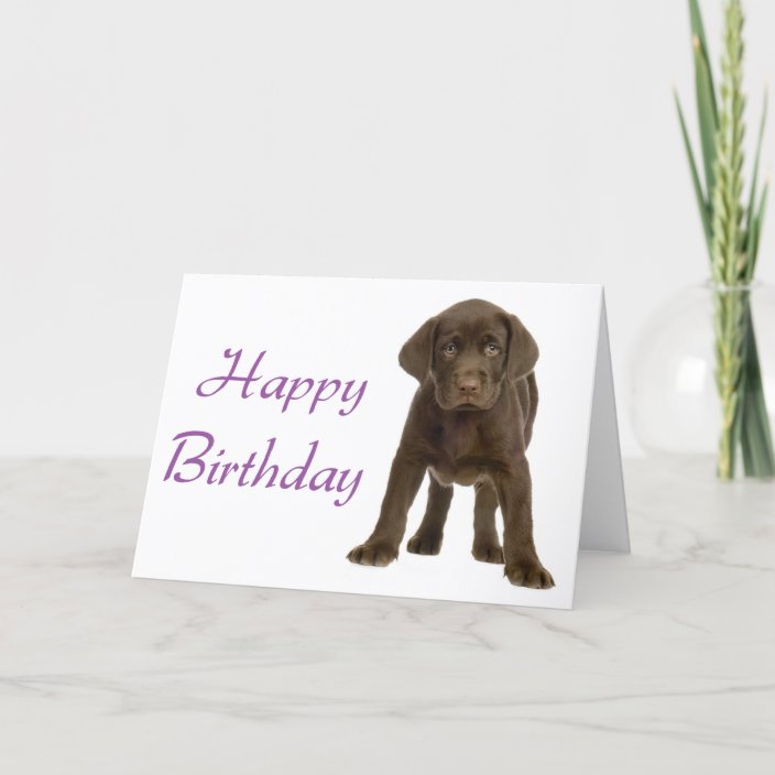 Happy Birthday Labrador Retriever Puppy Dog Card | Zazzle.com