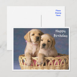 Happy Birthday Labrador Retriever Puppy Post Card | Zazzle