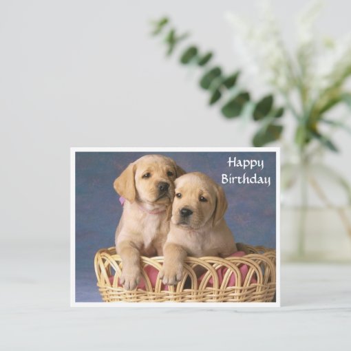 Happy Birthday Labrador Retriever Puppy Post Card | Zazzle