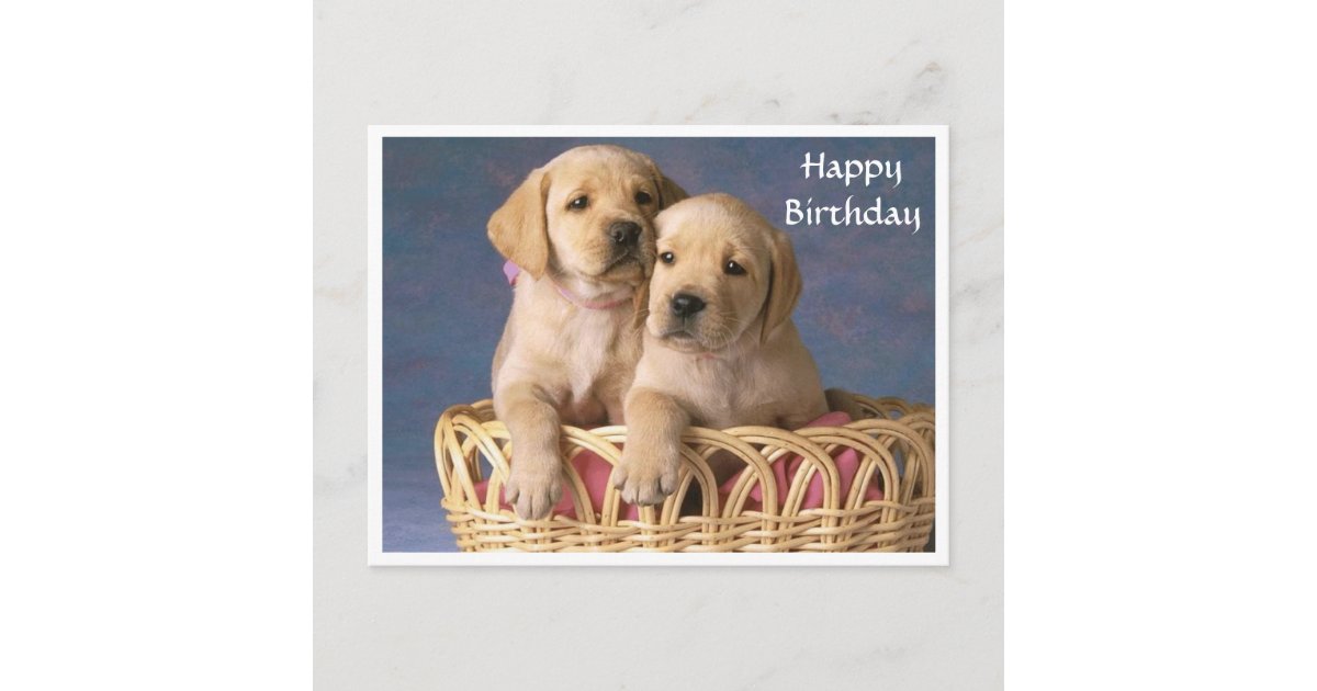 Happy Birthday Labrador Retriever Puppy Post Card | Zazzle