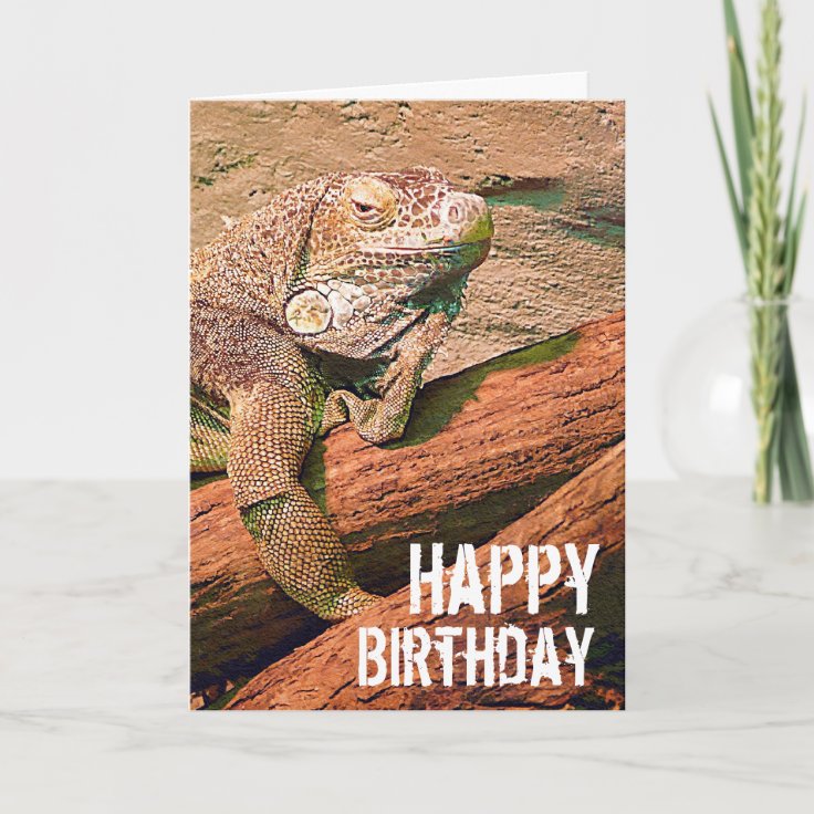 Happy Birthday — Lazy Lounge Lizard Chillaxing Card | Zazzle