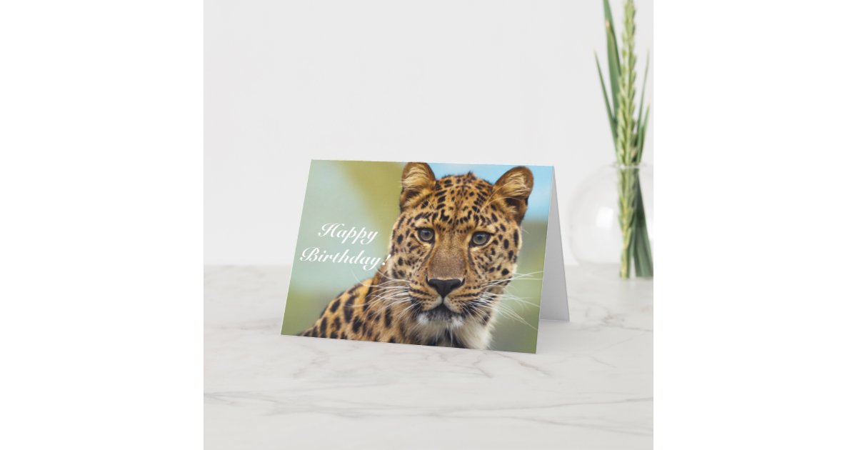 Happy Birthday Leopard greeting card | Zazzle.com