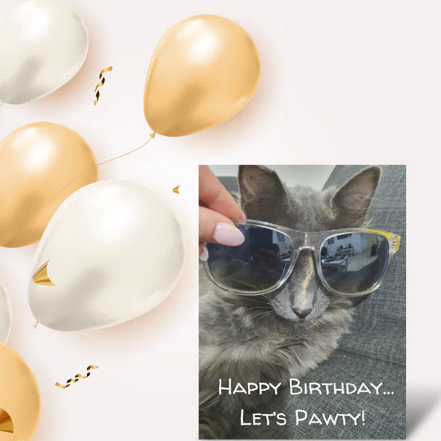 "happy birthday let's pawty" funny cat photo chic postcard | Zazzle