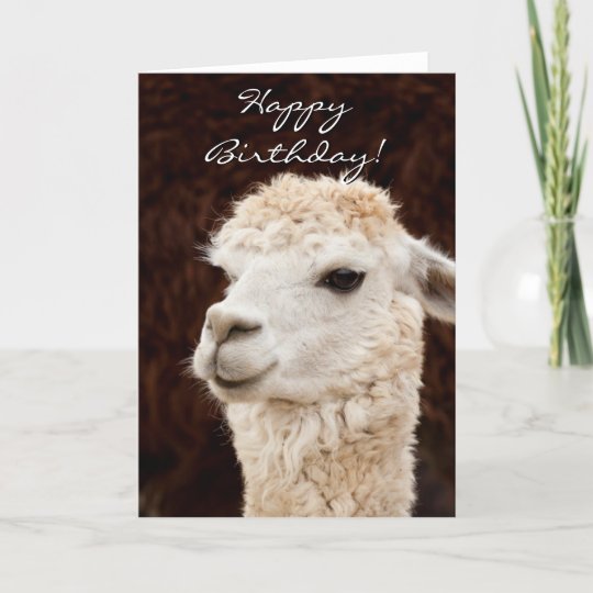 Happy Birthday llama greeting card | Zazzle.com