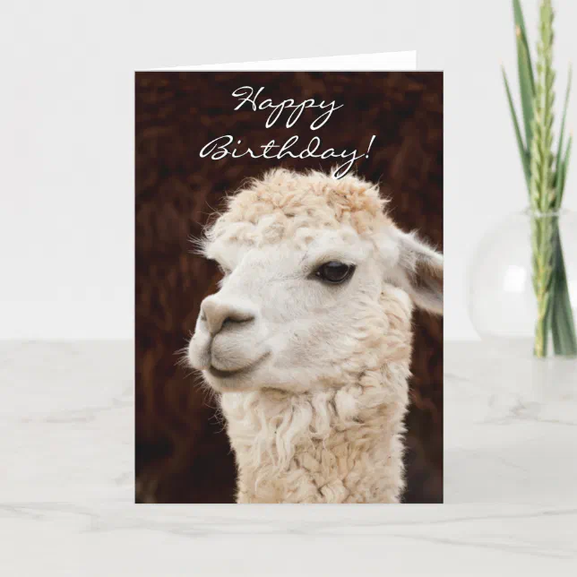 Happy Birthday llama greeting card | Zazzle