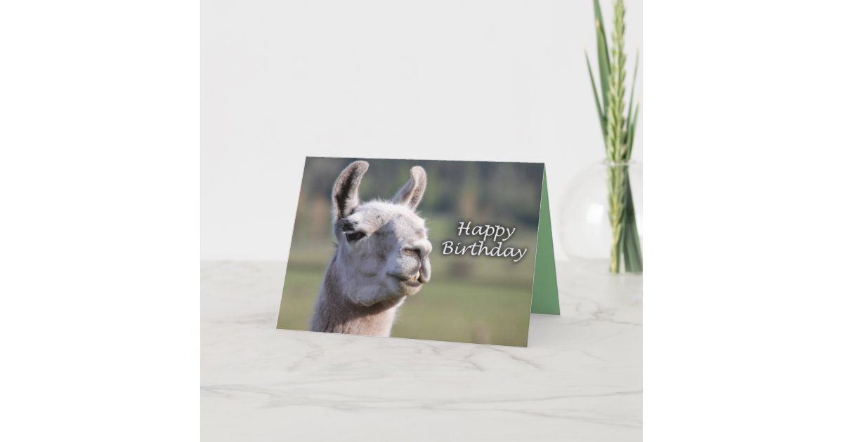 Happy Birthday llama | llama happy birthday Card | Zazzle.com