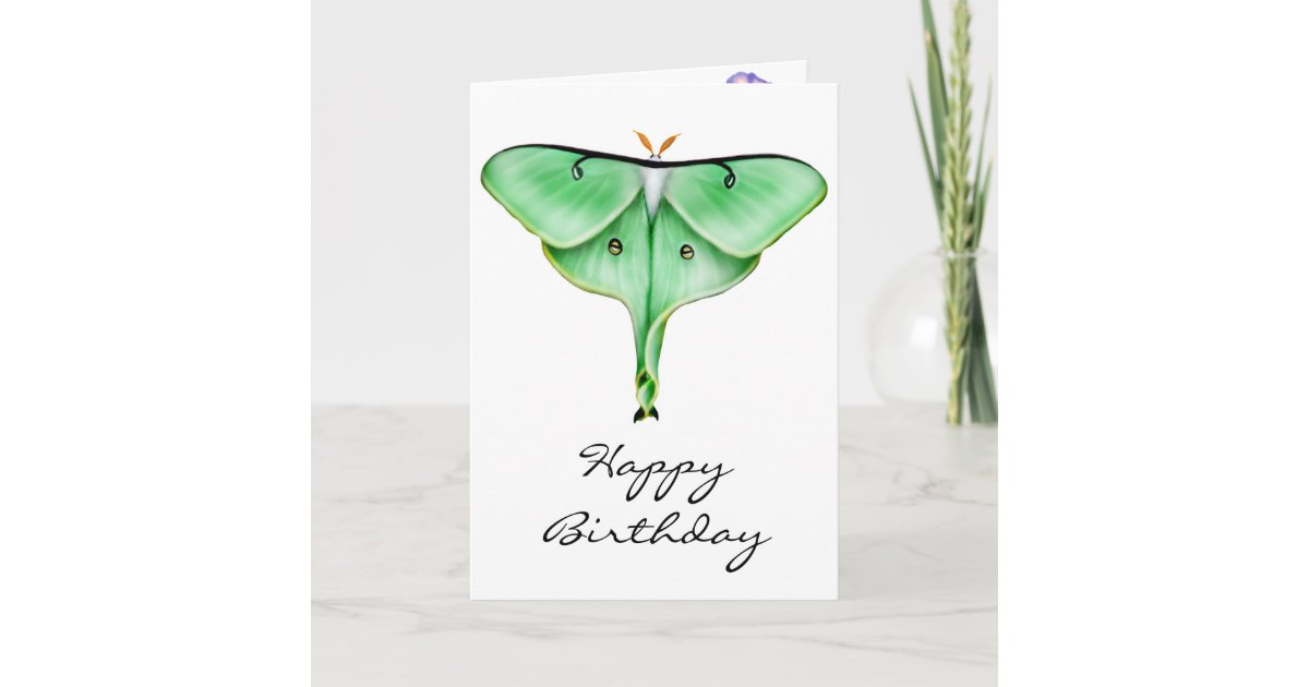 Happy Birthday Luna Moth Card | Zazzle