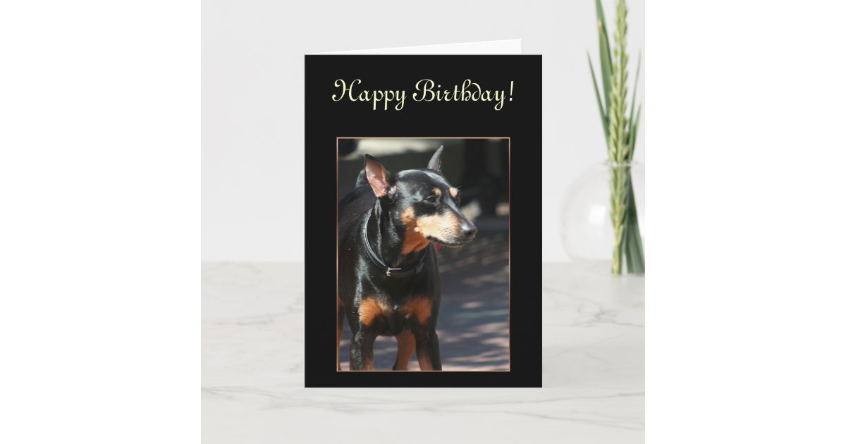Happy Birthday Miniature Pinscher greeting card | Zazzle