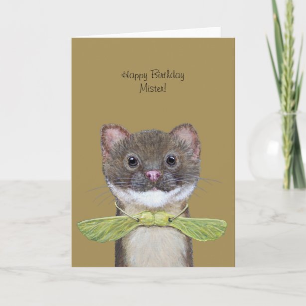 Weasel Cards | Zazzle