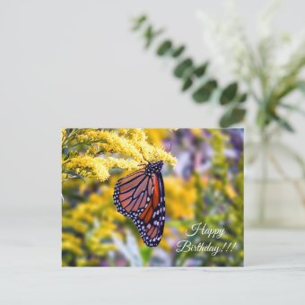 Happy Birthday Monarch Butterfly Postcard | Zazzle