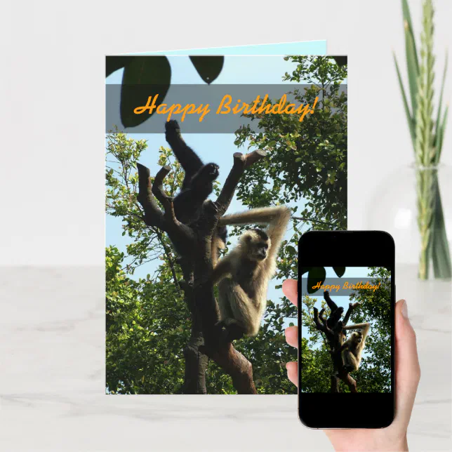 Happy Birthday, monkey on a tree Card | Zazzle