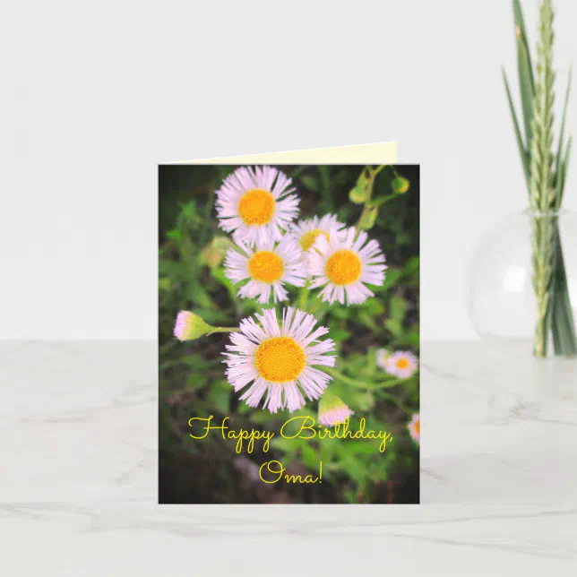Happy Birthday, Oma! Have a Beautiful Day! Card | Zazzle