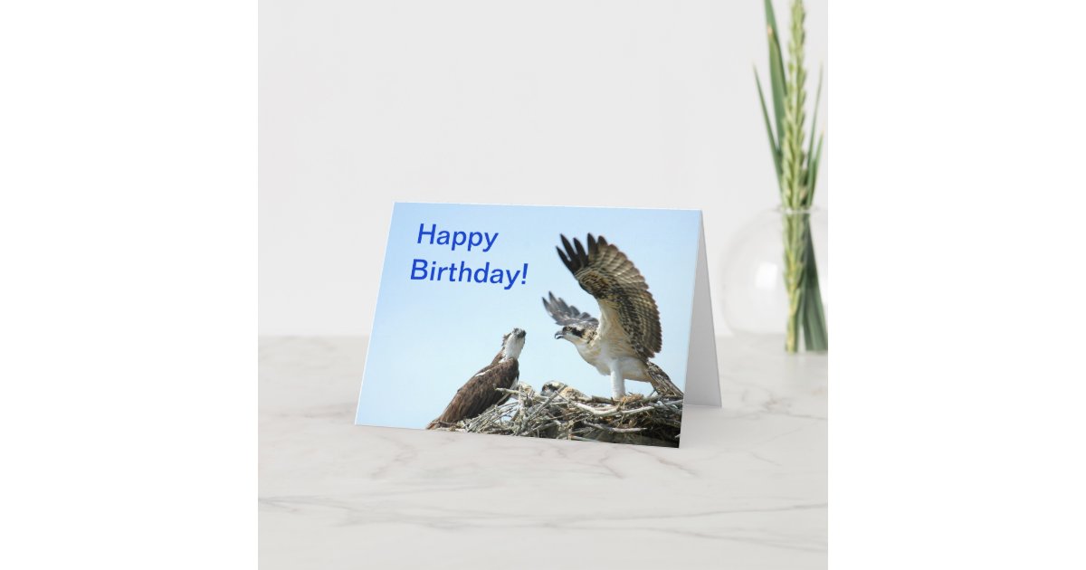 Happy Birthday osprey flapping wings Card | Zazzle