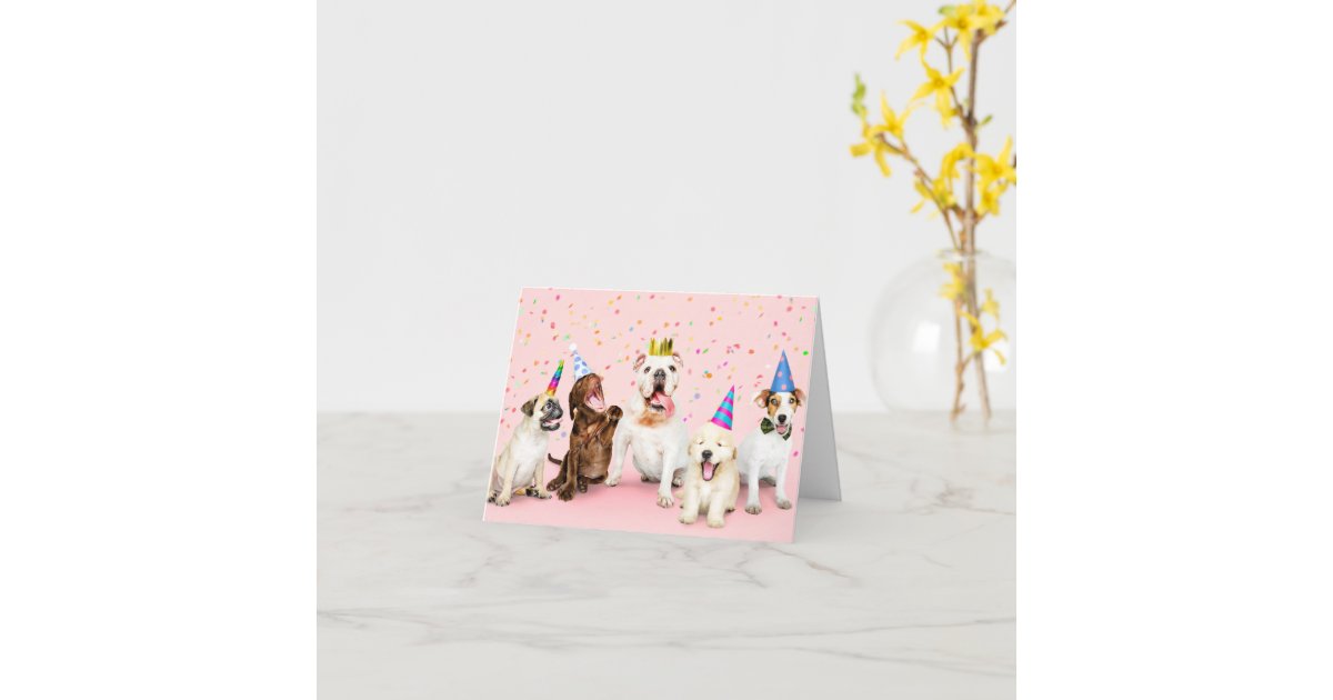 Happy Birthday Party Animal Card | Zazzle
