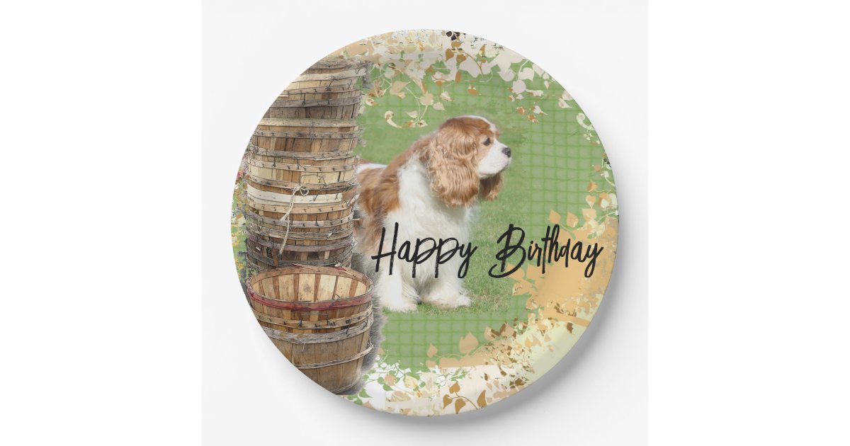 Happy Birthday Party Cavalier Plate | Zazzle