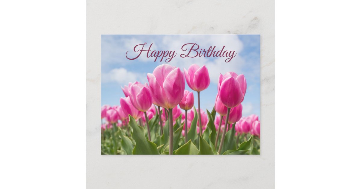 Happy Birthday Pink Tulip Flowers Postcard | Zazzle