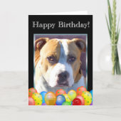 Happy Birthday pitbull dog greeting card | Zazzle