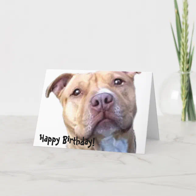 Happy Birthday Pitbull greeting card | Zazzle