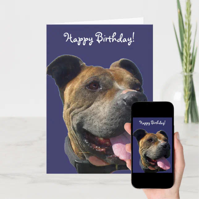 Happy Birthday Pitbull greeting card | Zazzle