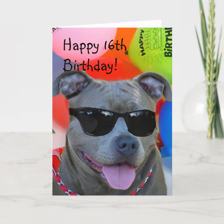 Happy Birthday Pitbull greeting card | Zazzle