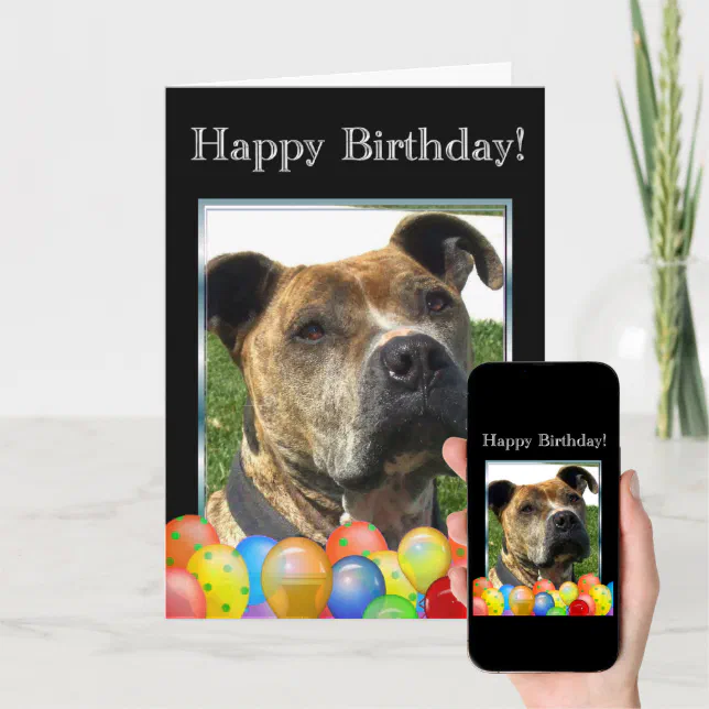 Happy Birthday Pitbull greeting card | Zazzle