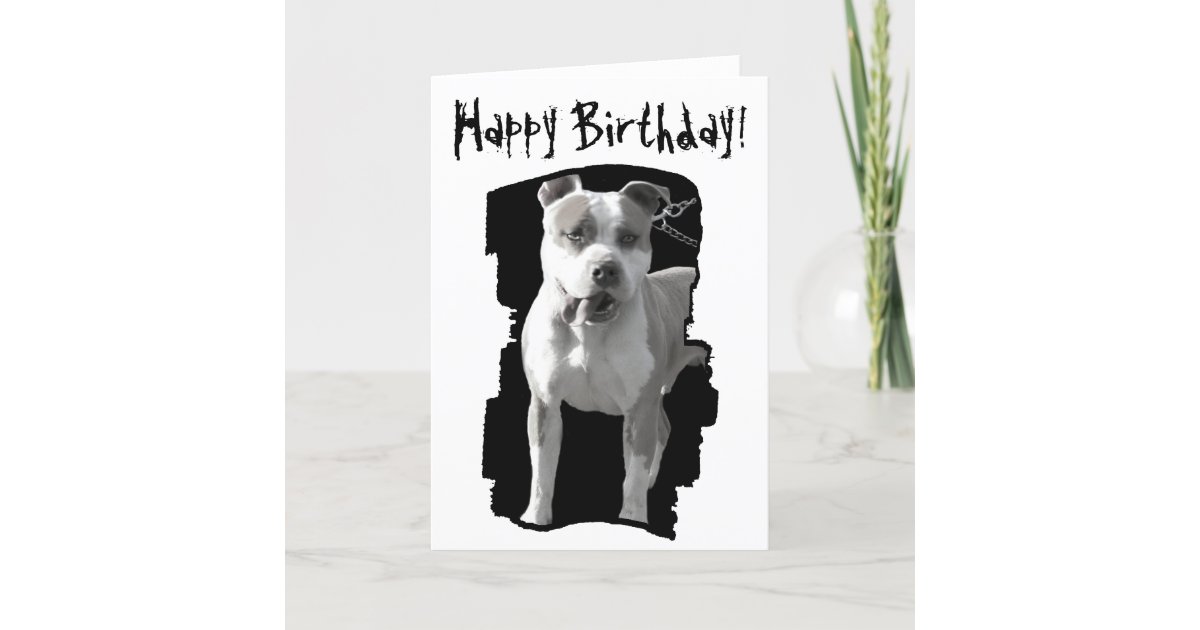 Happy birthday pitbull greeting card | Zazzle.com