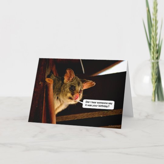 Happy Birthday Possum cute Birthday card Opossum | Zazzle.com