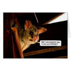Possum birthday card | Zazzle.com
