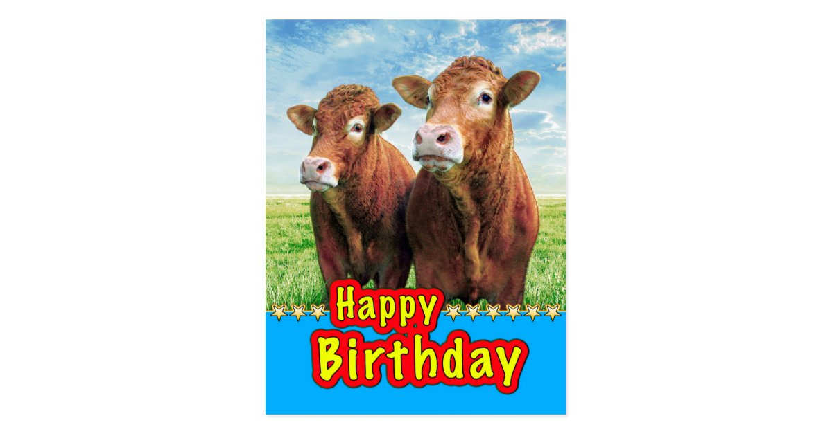 Happy Birthday Postcard | Zazzle.com