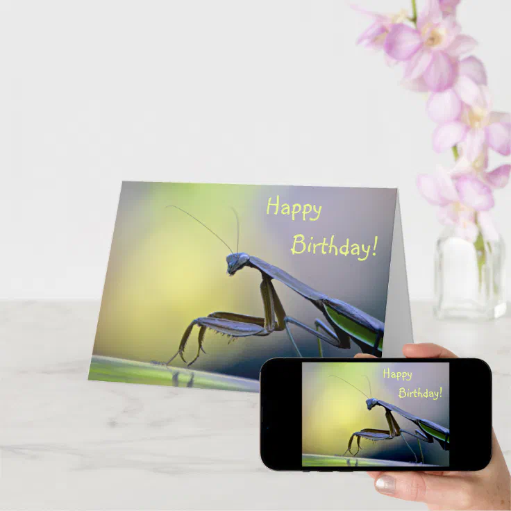 Happy Birthday Praying Mantis Card | Zazzle