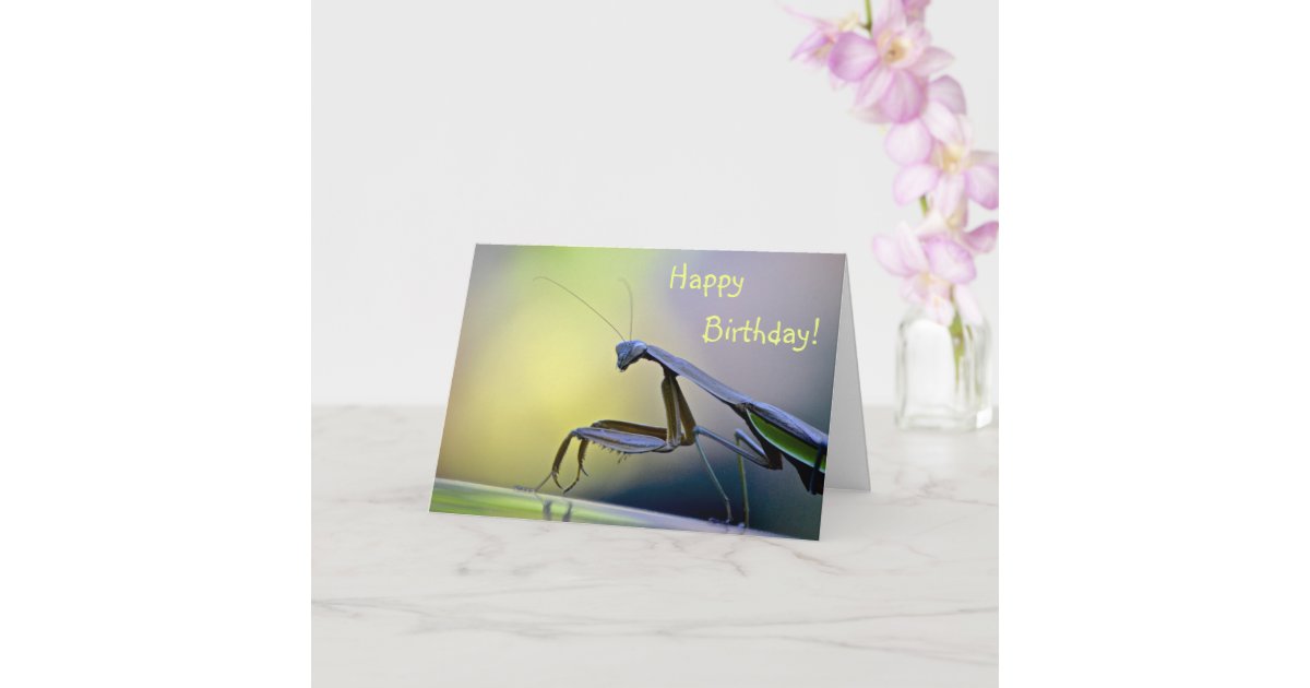 Happy Birthday Praying Mantis Card | Zazzle