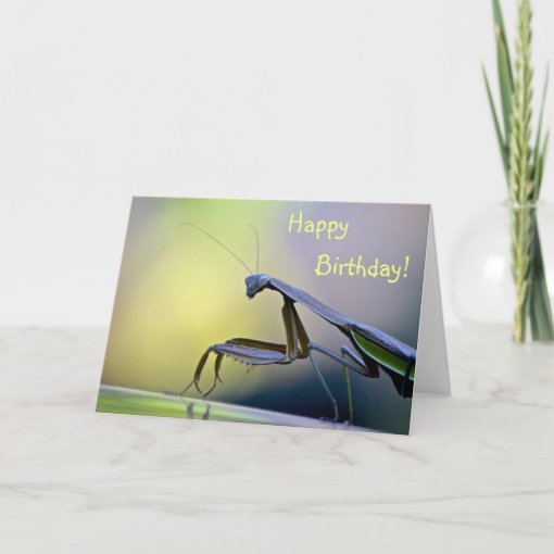 Happy Birthday Praying Mantis Card | Zazzle