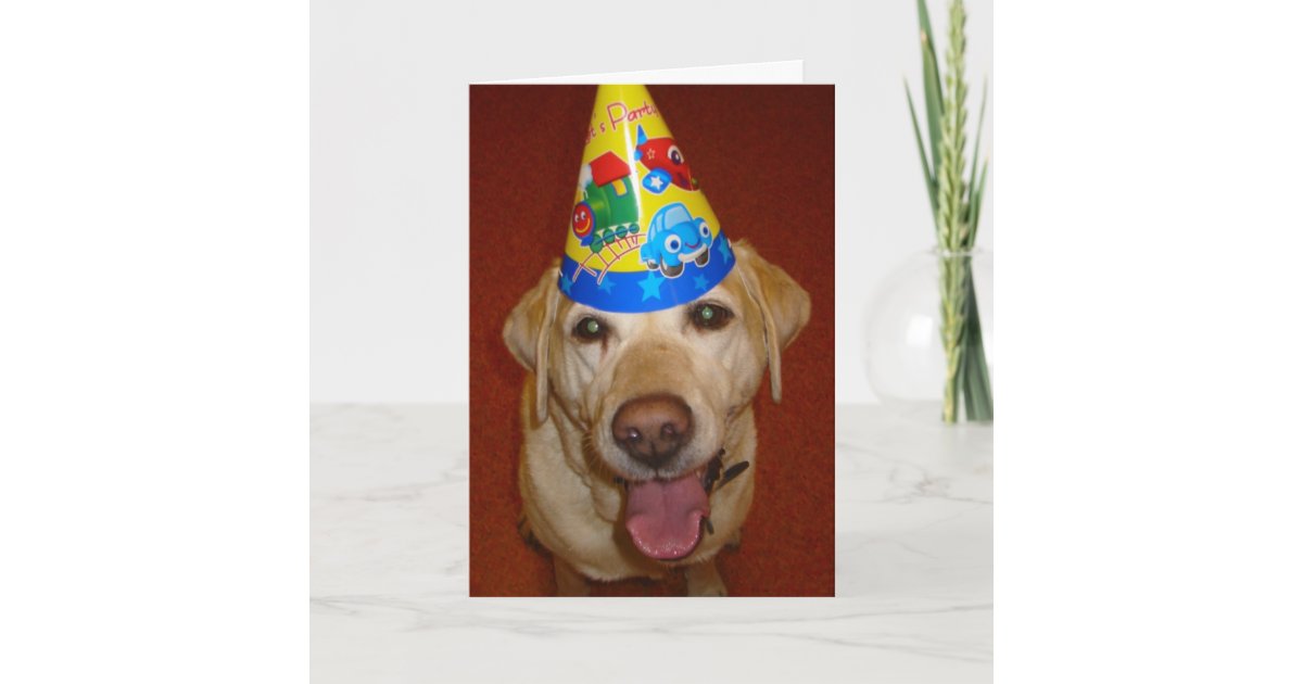 Happy Birthday Prima Card | Zazzle